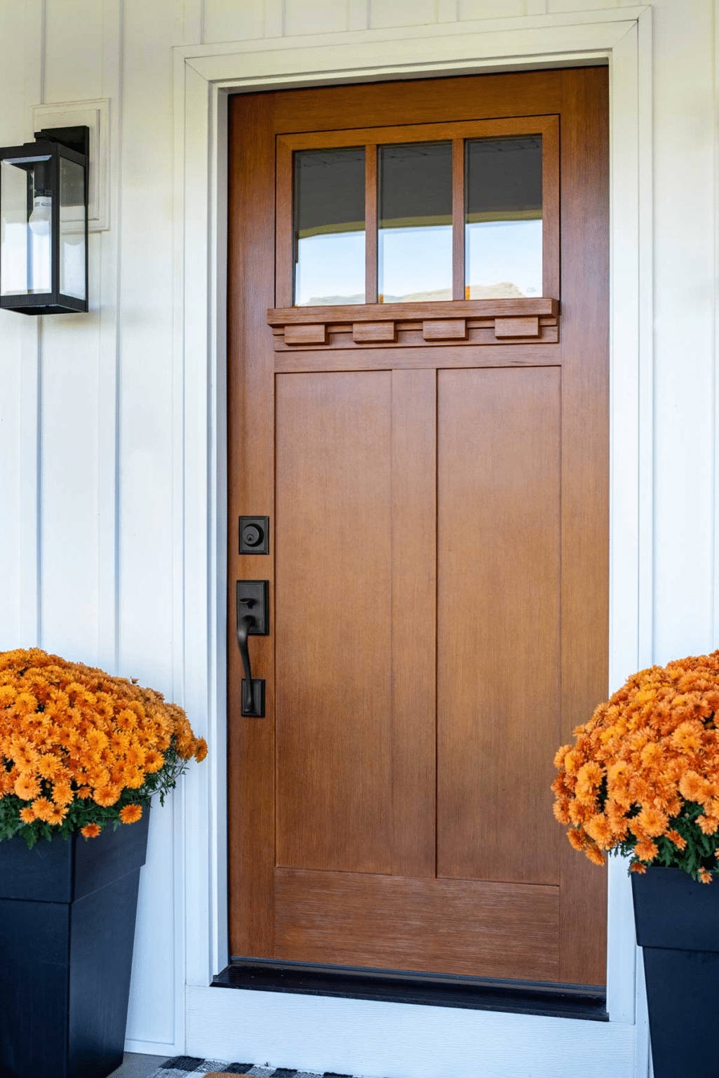 Top Modern Front Door Styles for Homeowners in 2024